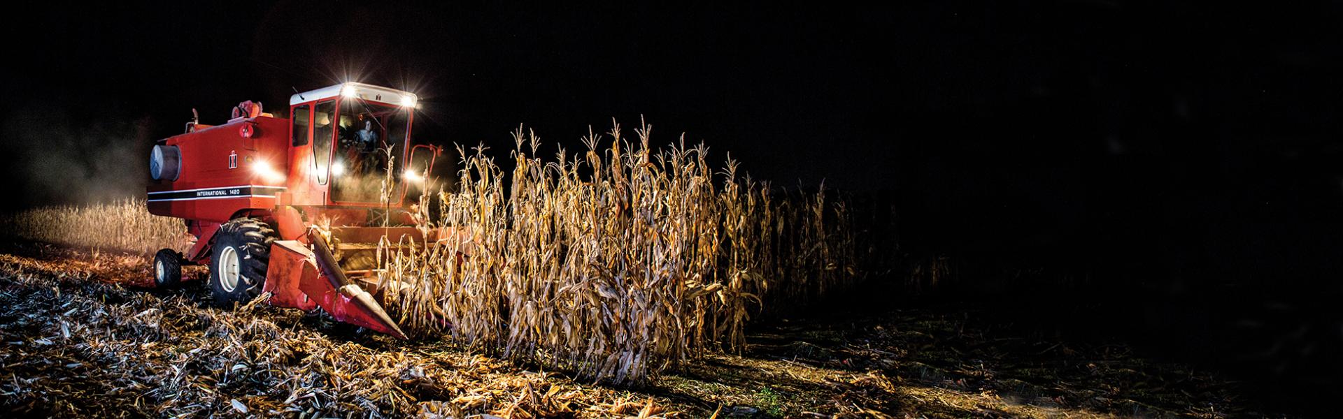 Octane Press | Distinctive Books for Discerning Readers